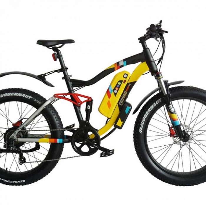 eBikes Rentals in Venice, CA | Boneshaker Electric Bikes